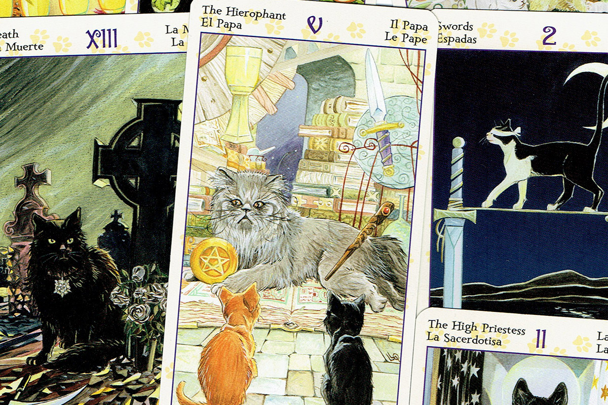 Tarot of Pagan Cats Review | Psychic Revelation Blog